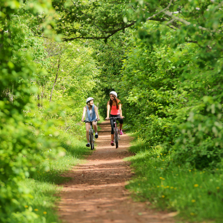 Rotary Friendship Park - Explore Summerside